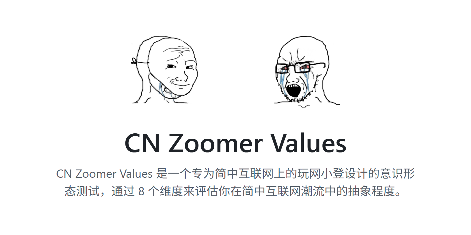 CN Zoomer Values